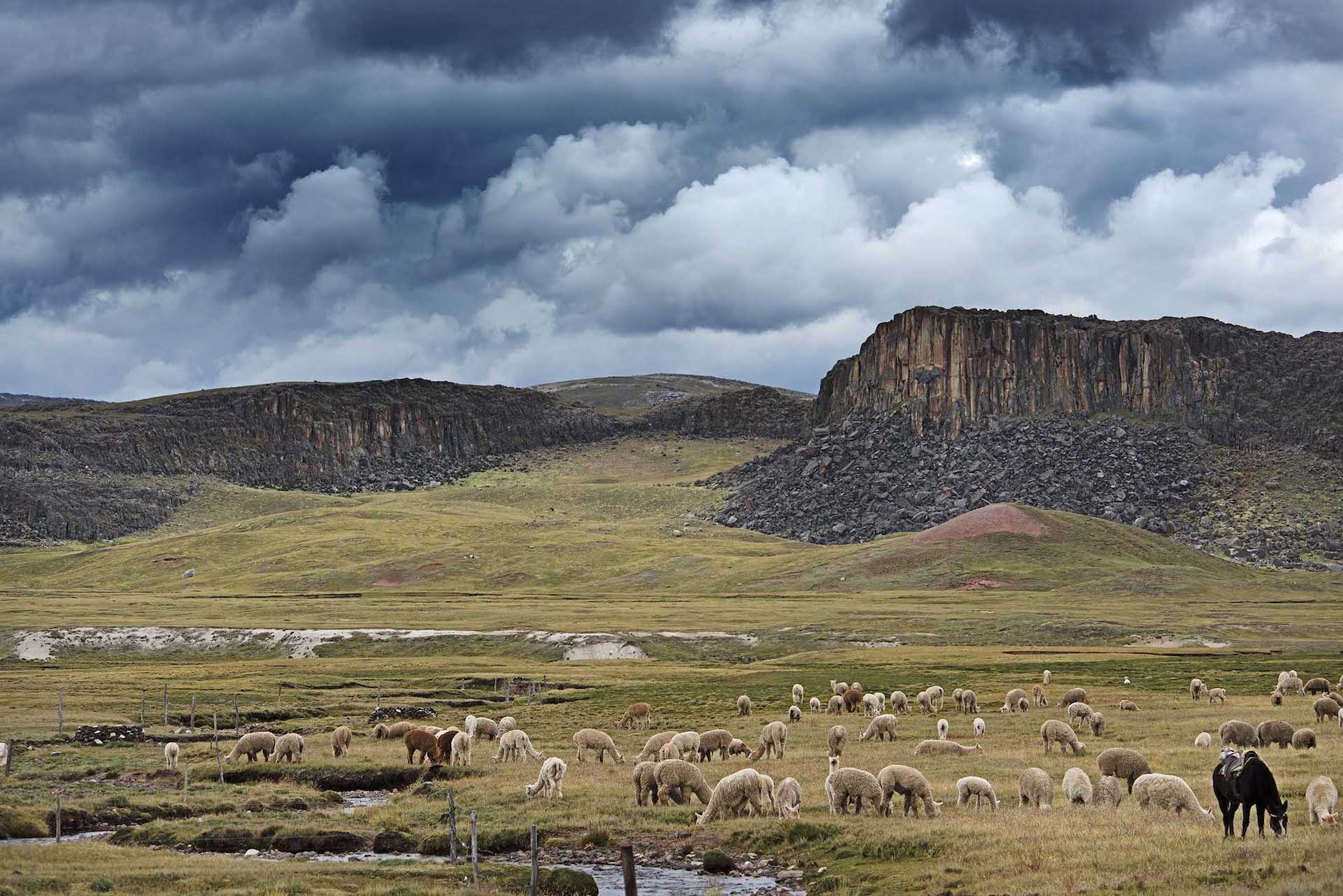 Where We Work - Andes Amazon Fund