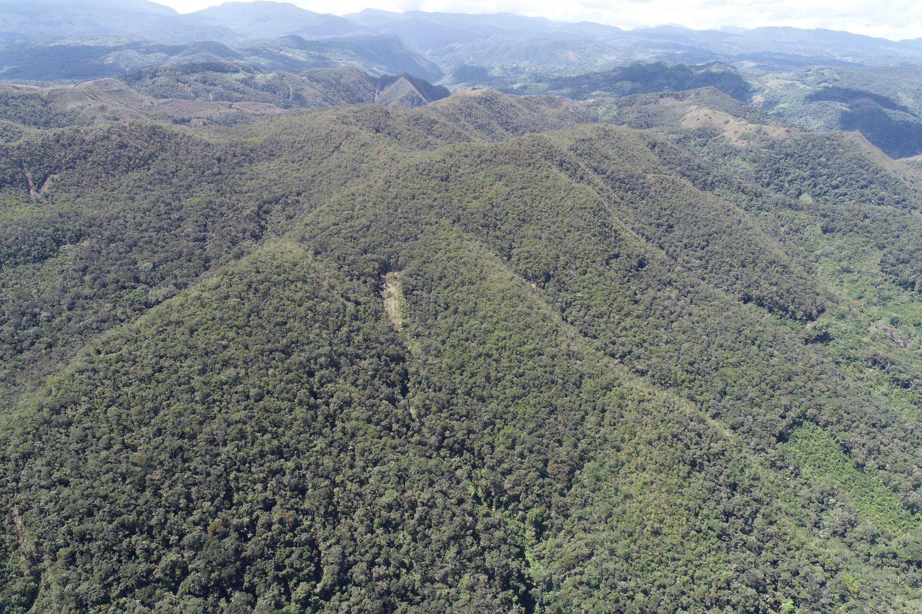 Introducing Peru’s “Gran Mirador de Juningue” Conservation Concession ...