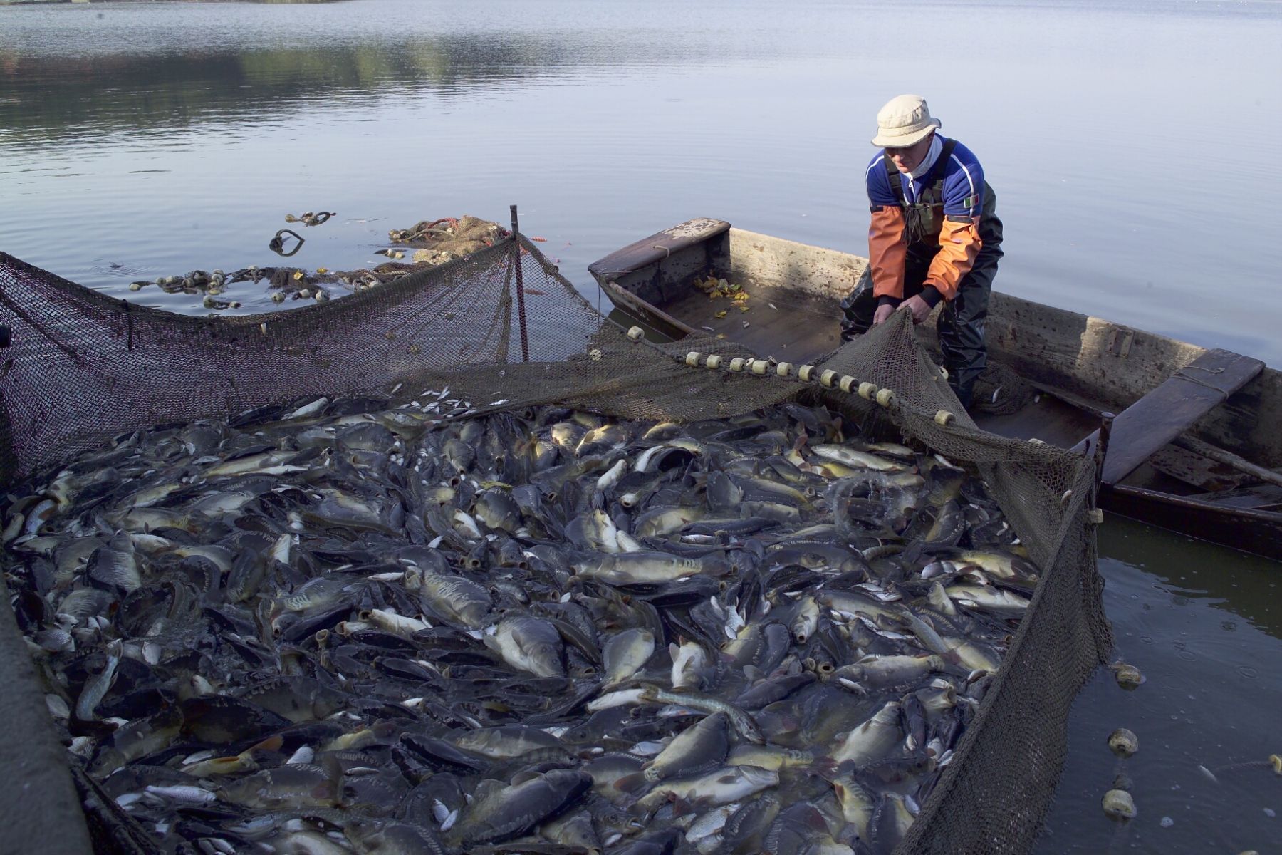 Cuatro claves para entender por qué el mar peruano está bajo amenaza ...