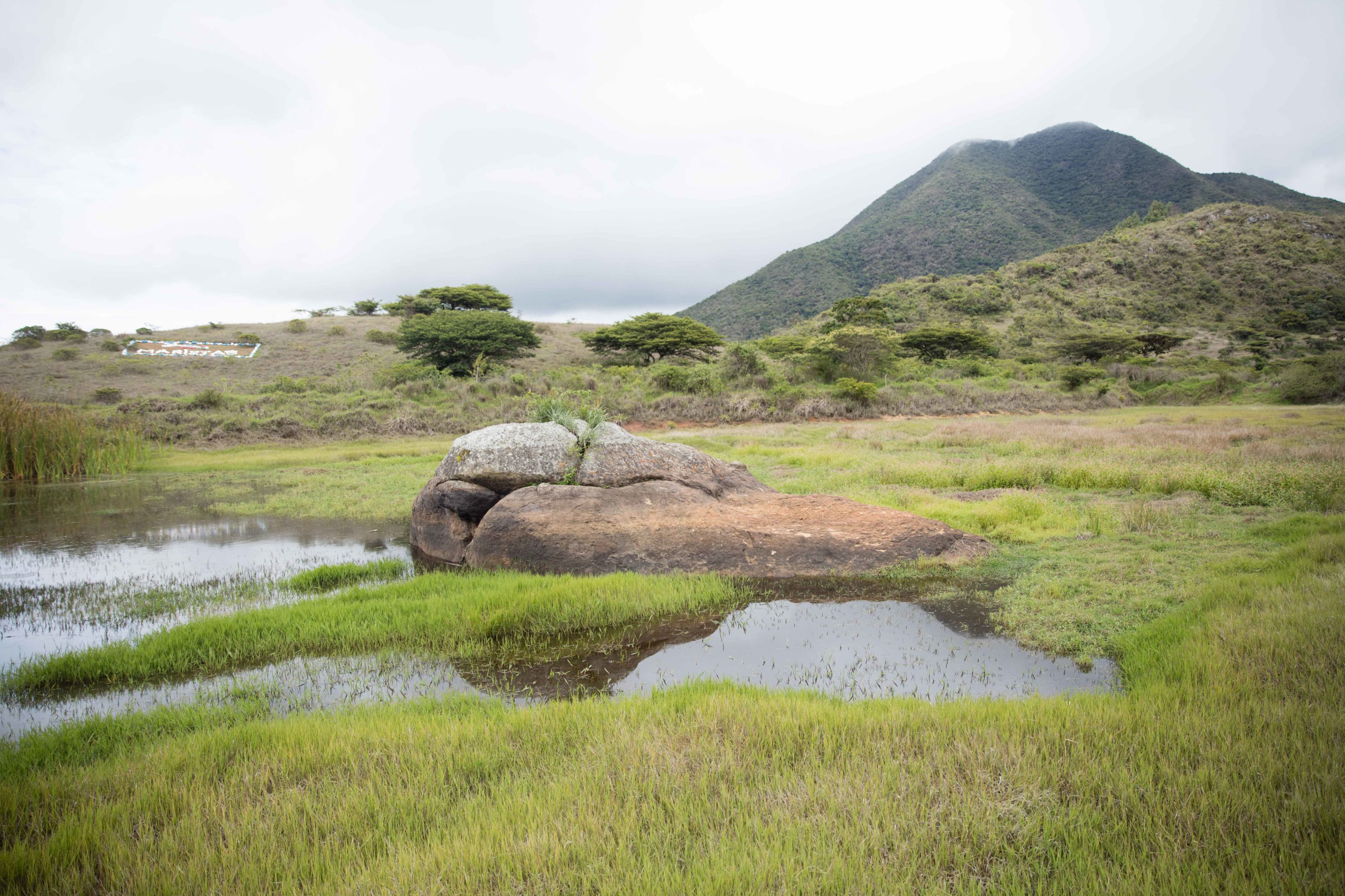 News - Andes Amazon Fund