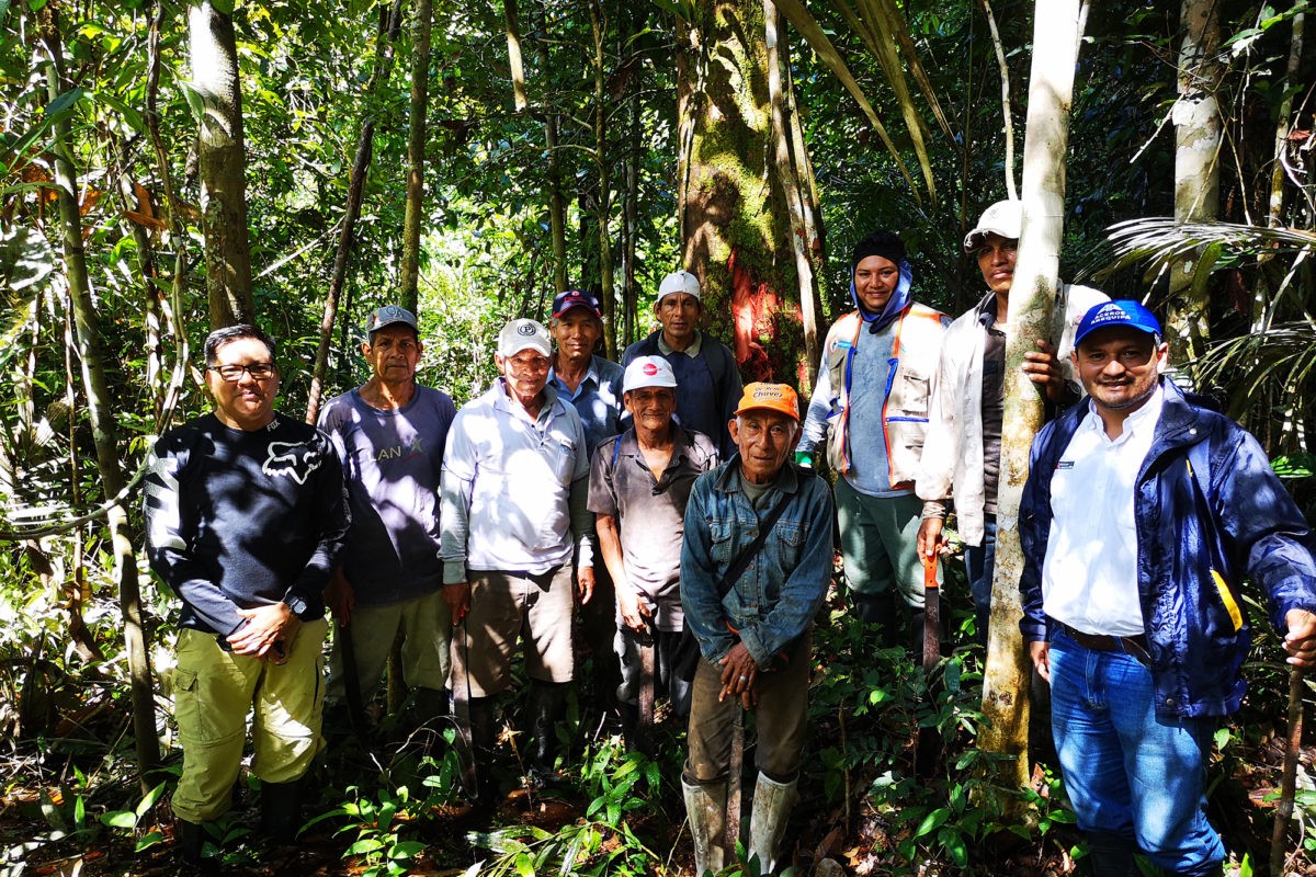 Mystery of the Jungle: Solved! A New Conservation Concession in Peru ...
