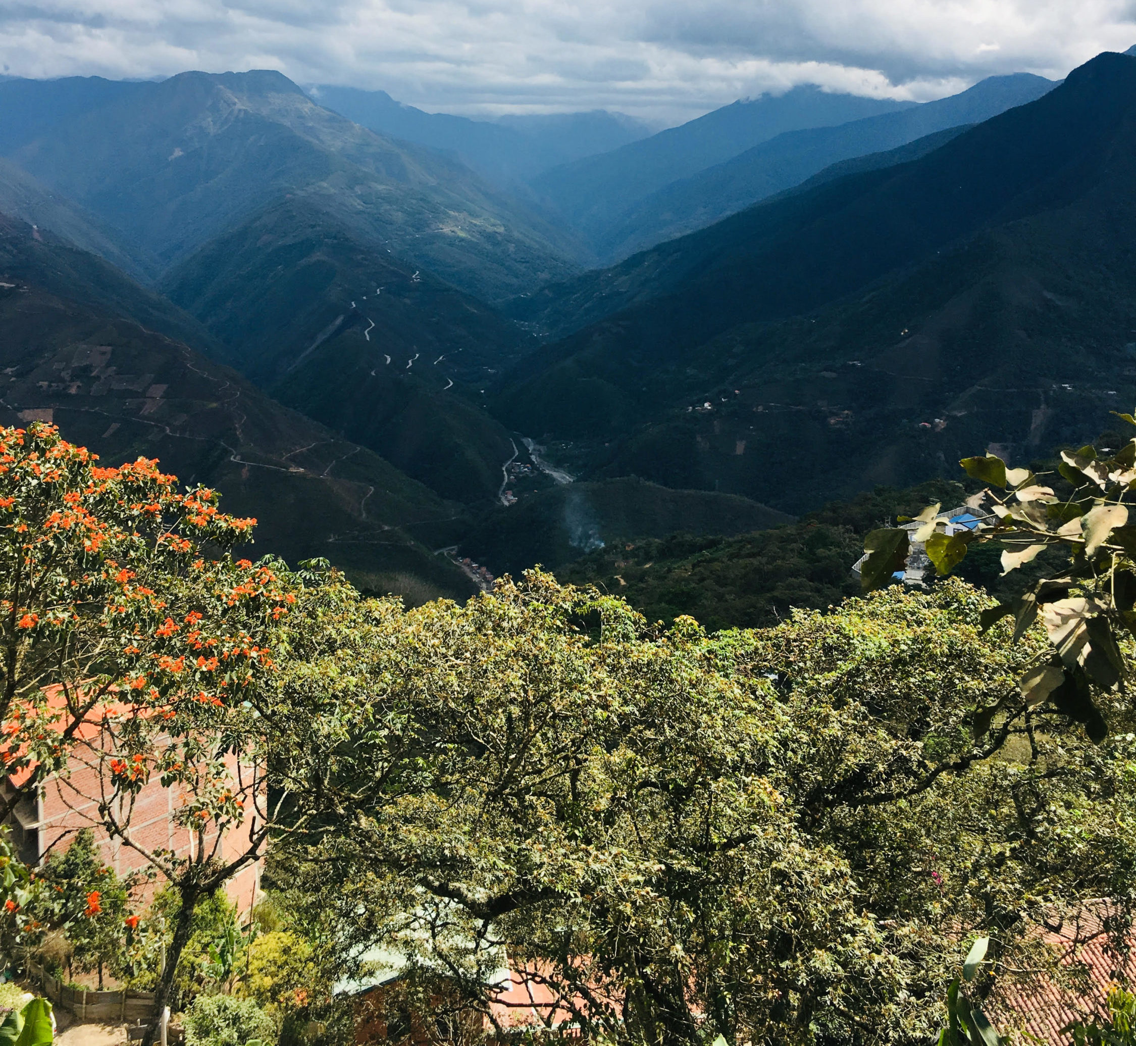 Announcing Montane Ecosystems - Río Negro Municipal Conservation Area ...