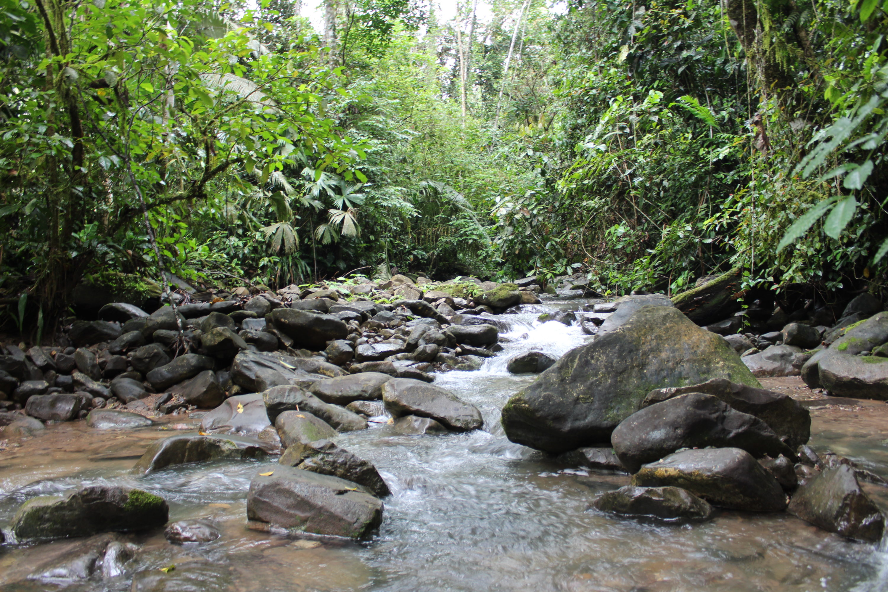 Two New Conservation Concessions in Peru Increase Protected Area ...