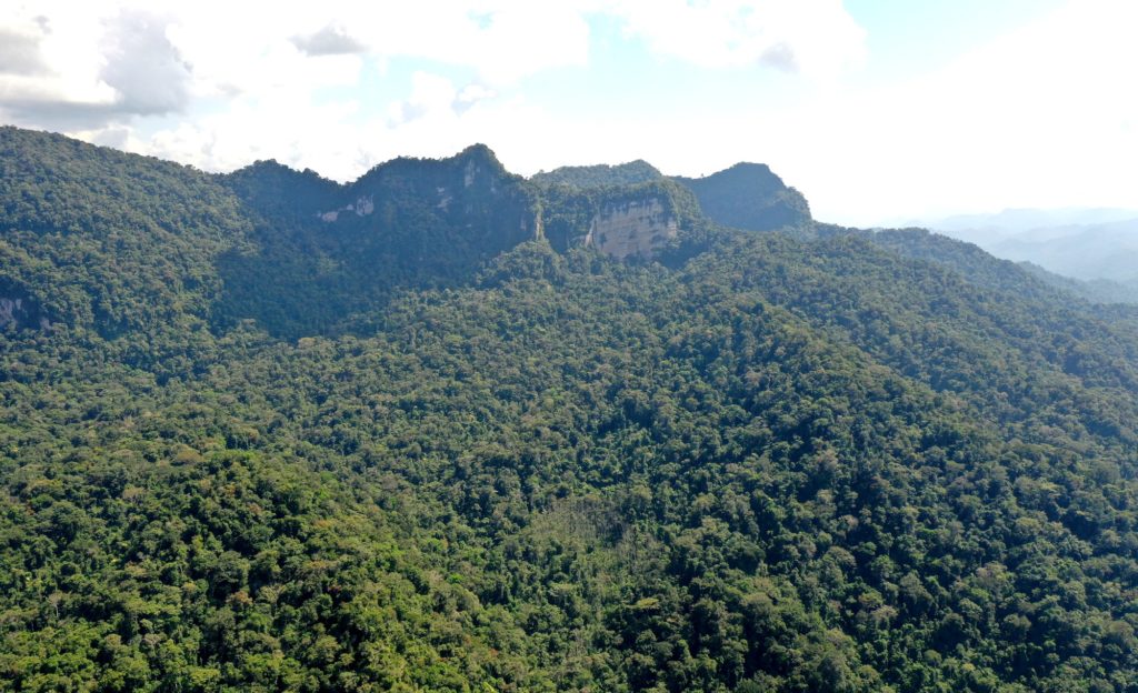 Two New Conservation Concessions in Peru Increase Protected Area ...