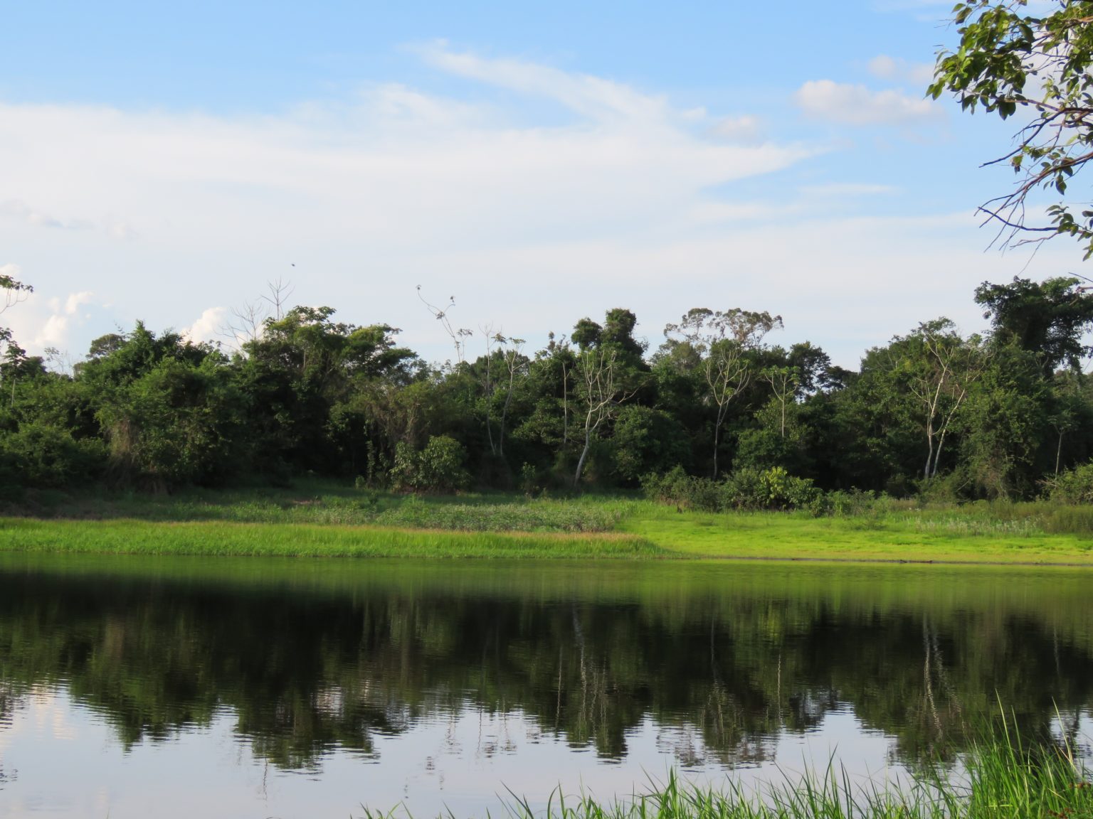 Two New Protected Areas Add 2.8 Million Acres to a Key Biological ...