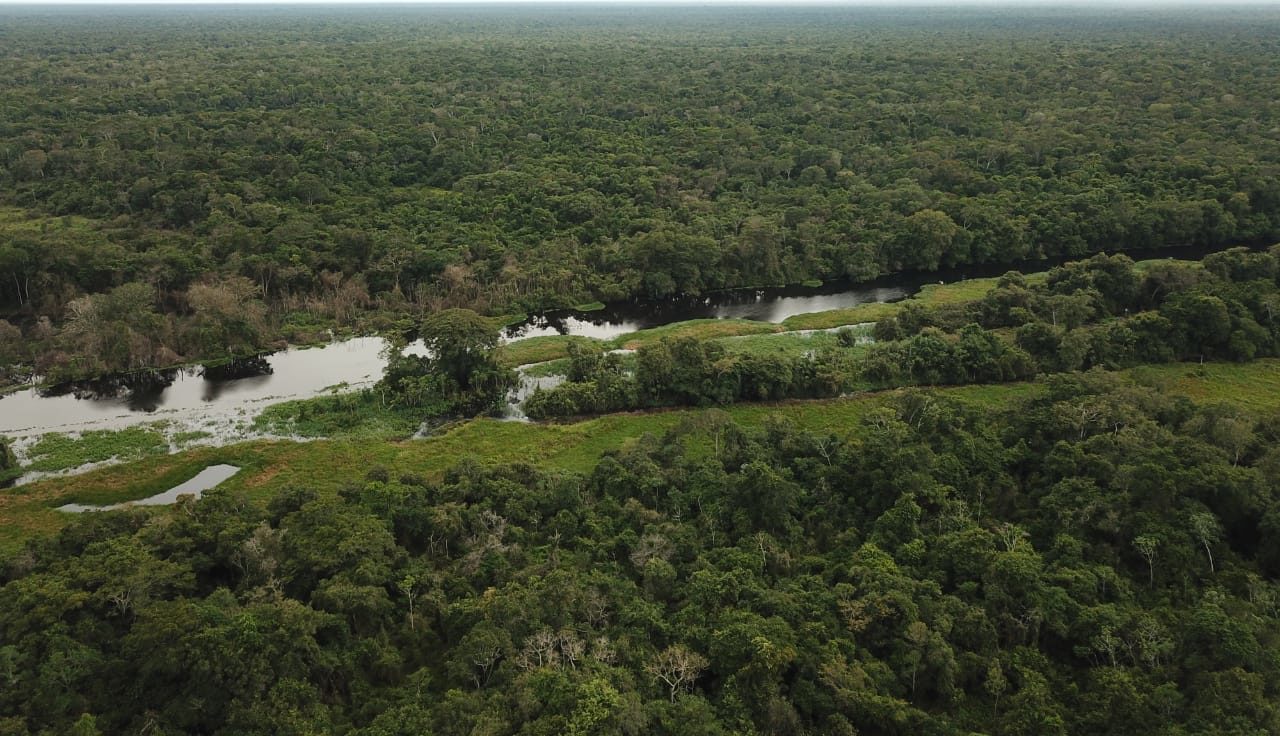 Two New Protected Areas Add 2.8 Million Acres to a Key Biological ...