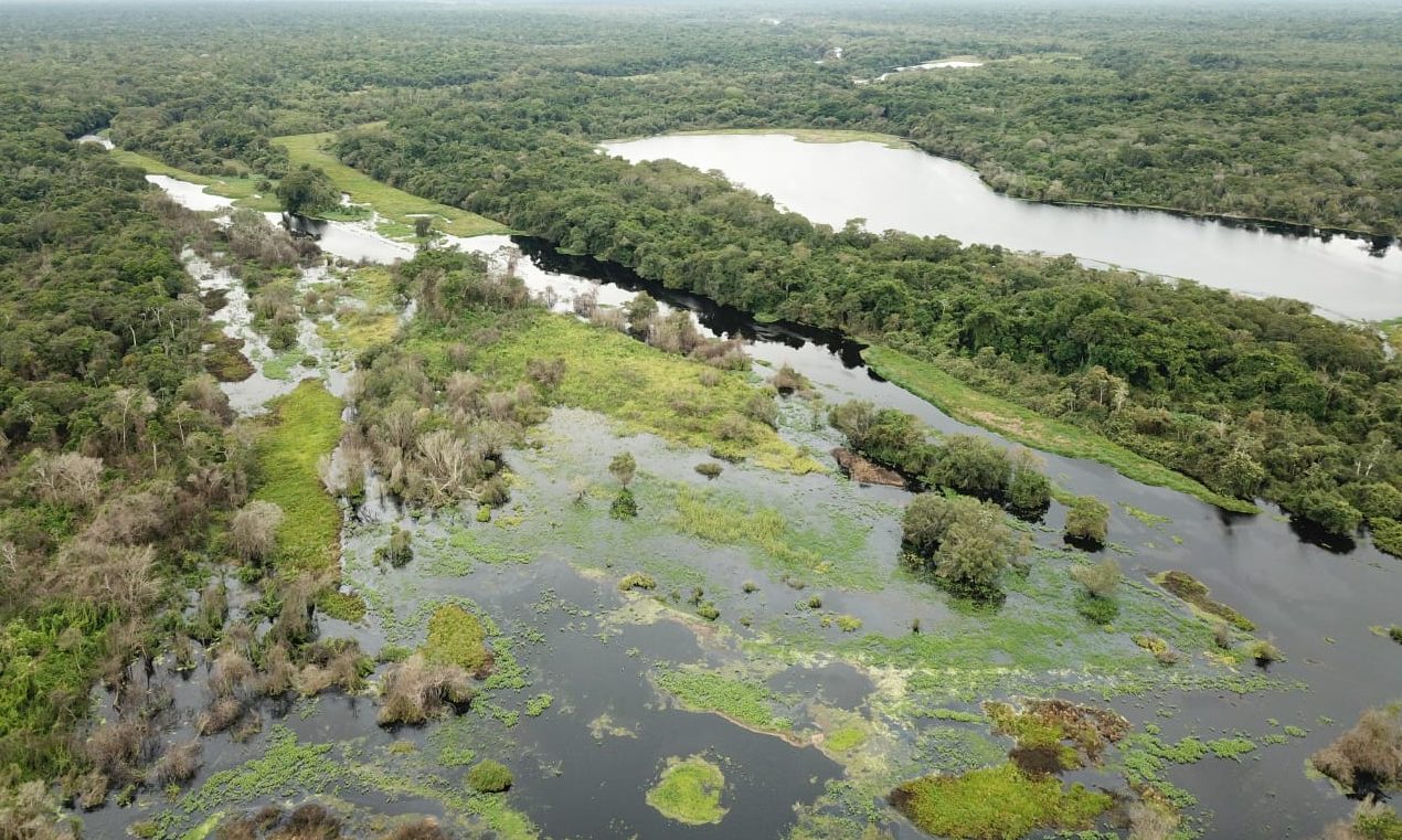 Two New Protected Areas Add 2.8 Million Acres to a Key Biological ...