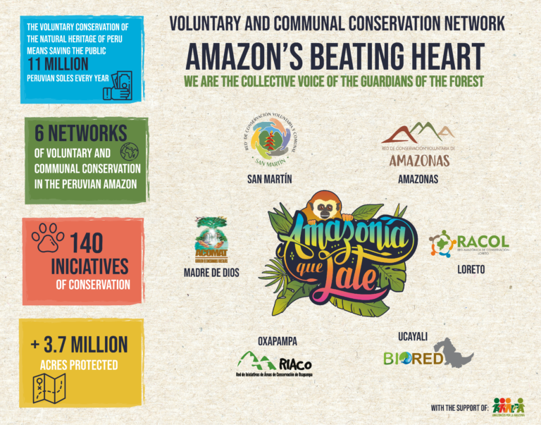 The Amazon's Beating Heart: A Voluntary and Communal Conservation ...