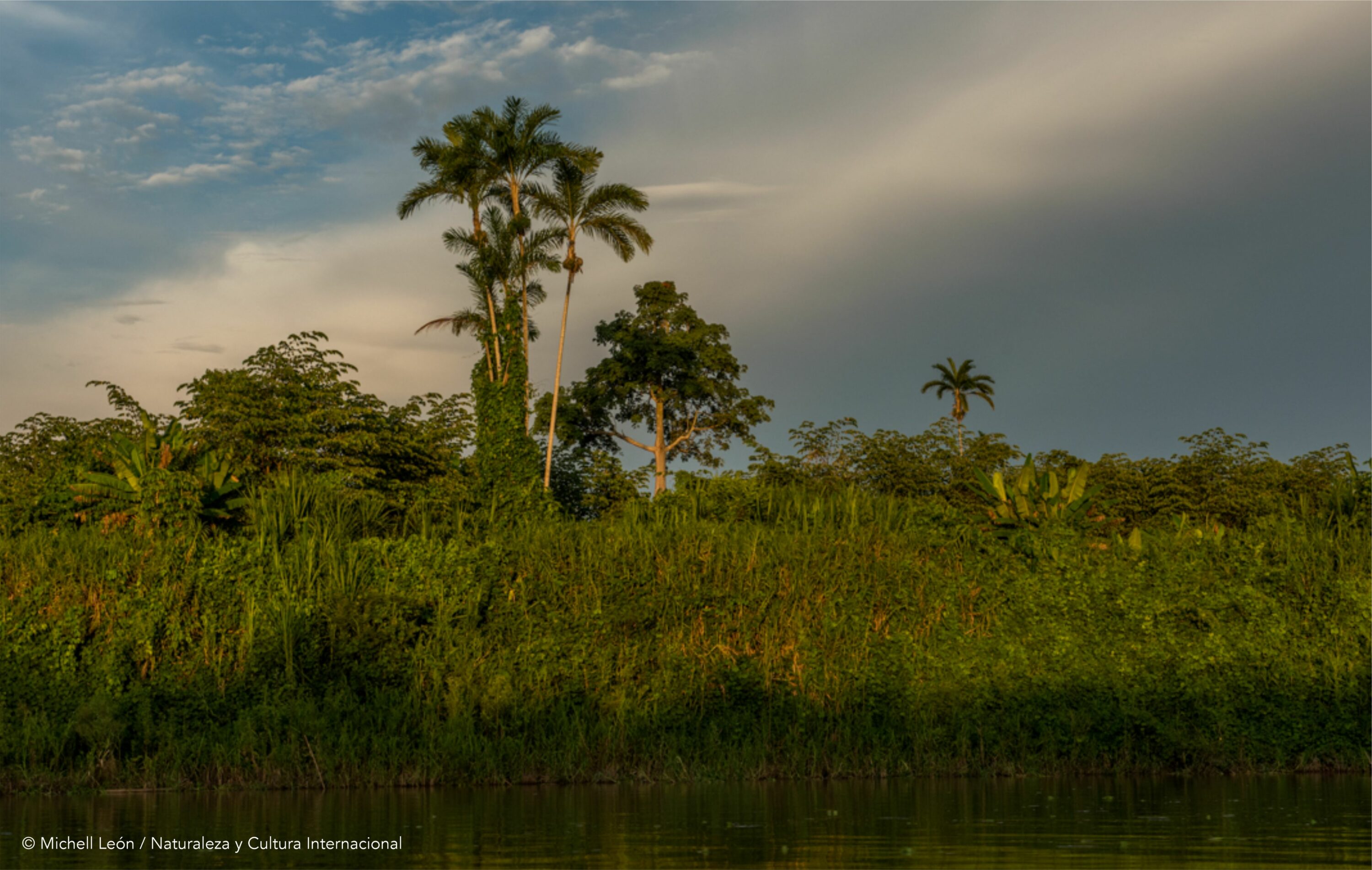 New Regional Conservation Area in Ucayali, Peru, Contributes to a ...