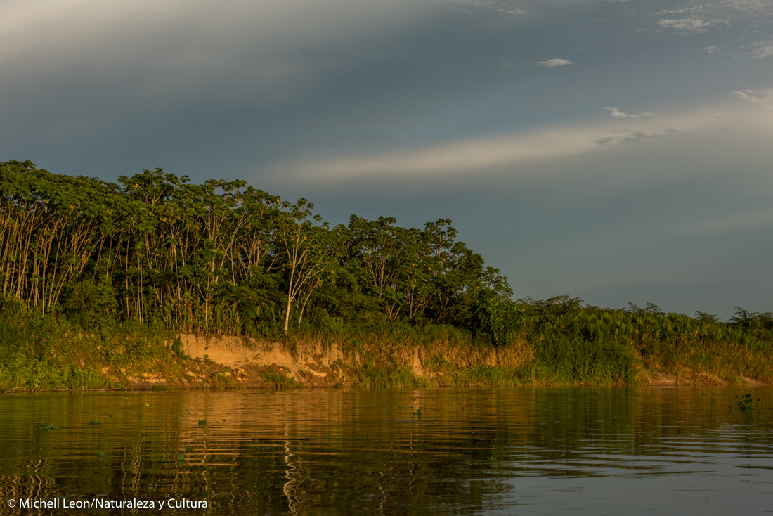 New Regional Conservation Area in Ucayali, Peru, Contributes to a ...