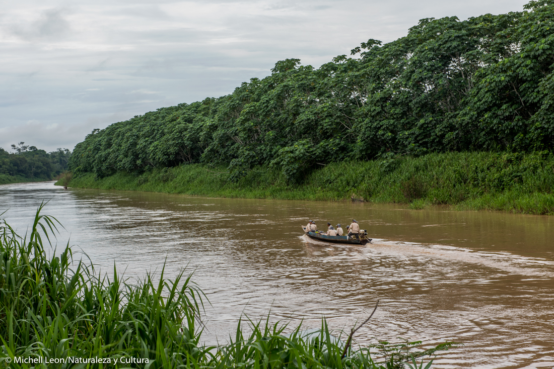 New Regional Conservation Area in Ucayali, Peru, Contributes to a ...