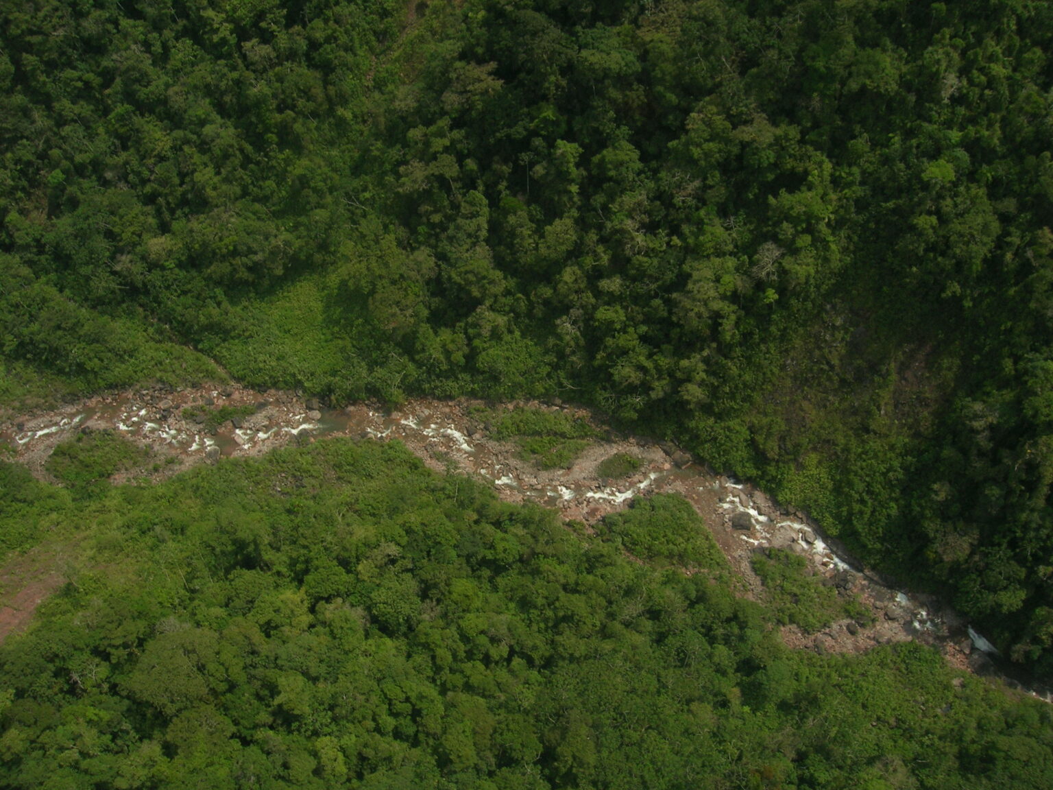 New Kakataibo Indigenous Reserve in Peru Protects Indigenous People ...
