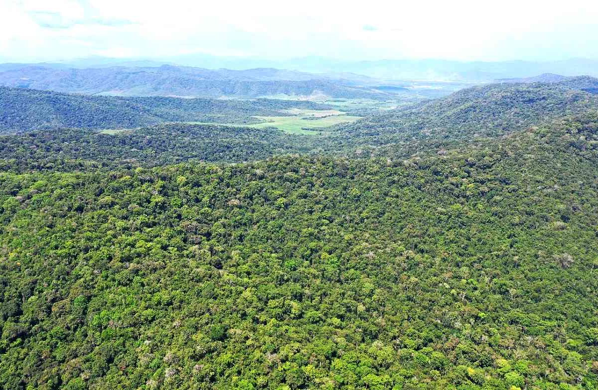 New Bosques del Futuro Conservation Concession is Peru's First to be ...