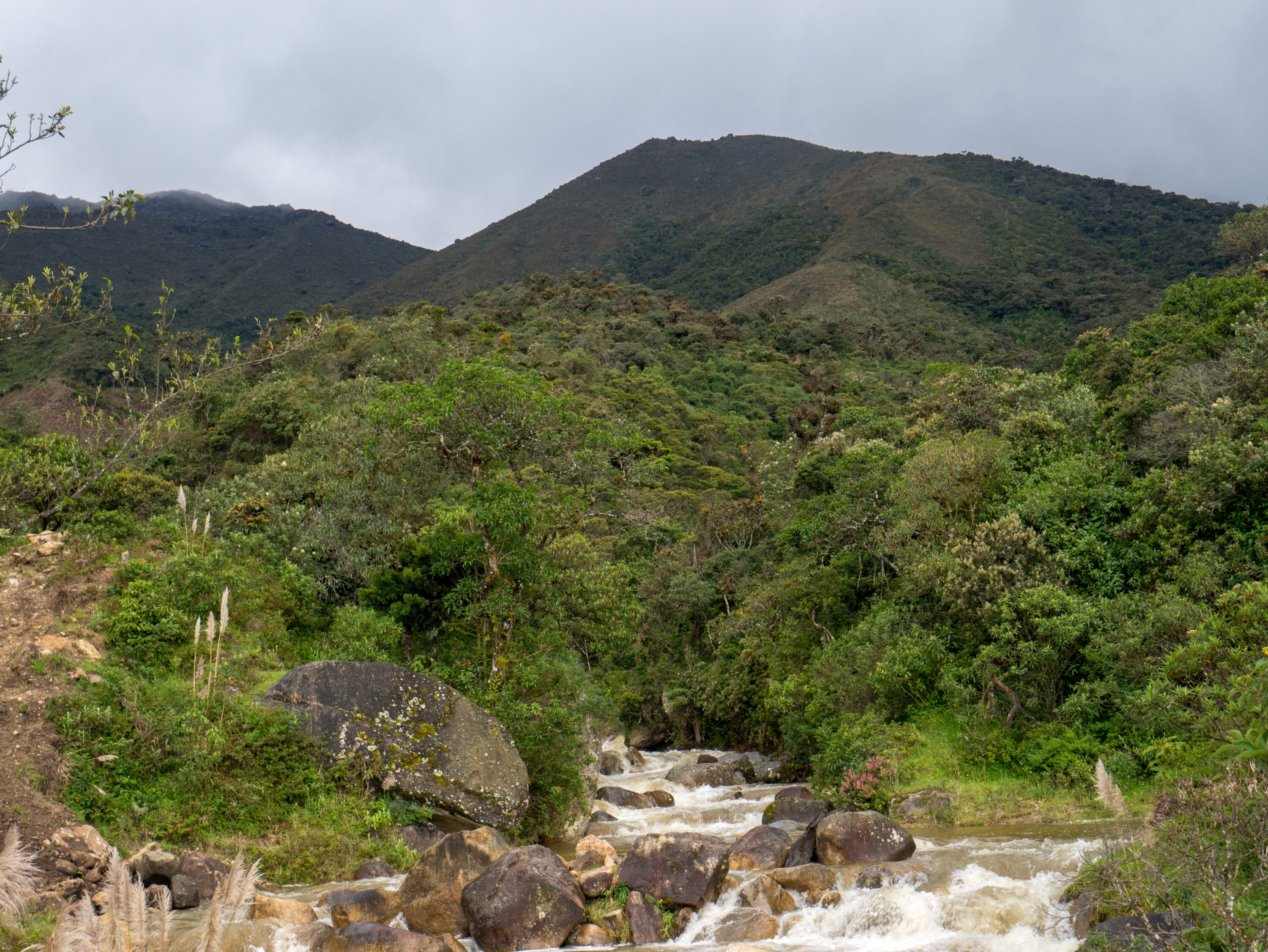 New Protected Areas in Southern Ecuador Conserve Nearly 120,000 Acres ...