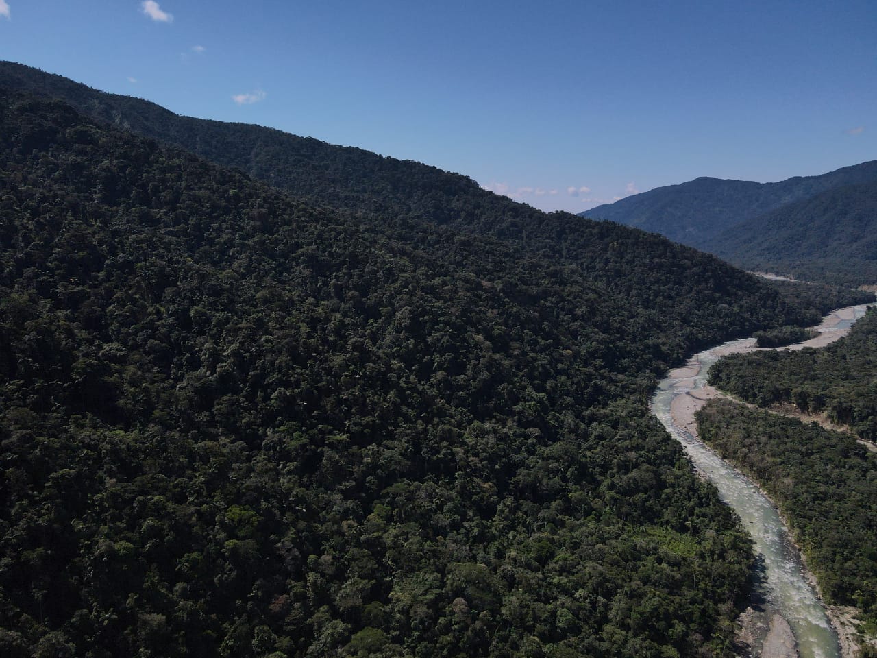 New Conservation Concession in the Cloud Forests of Peru Expands ...