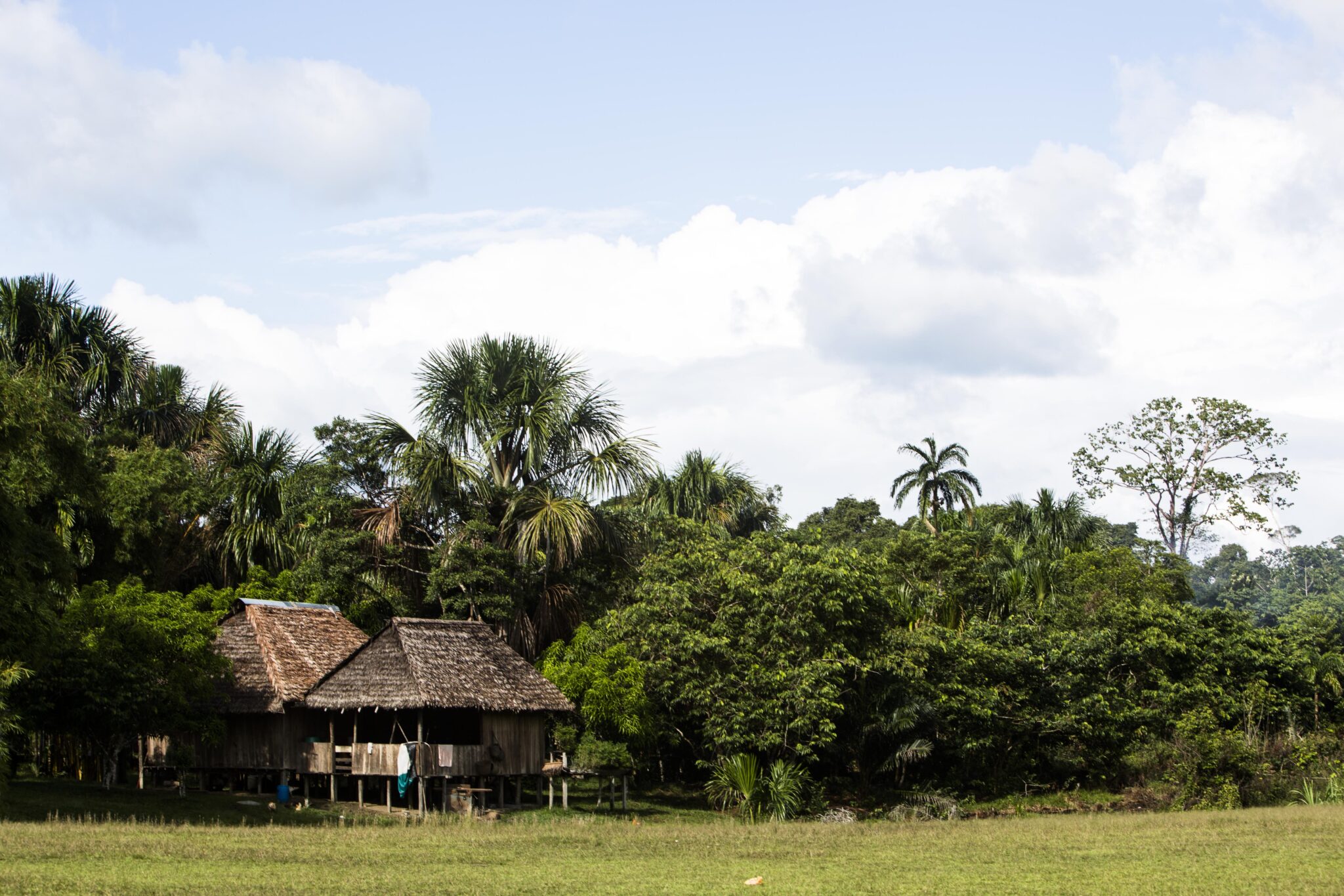 Newly Created Indigenous Reserve La Victoria in Colombia Strengthens ...