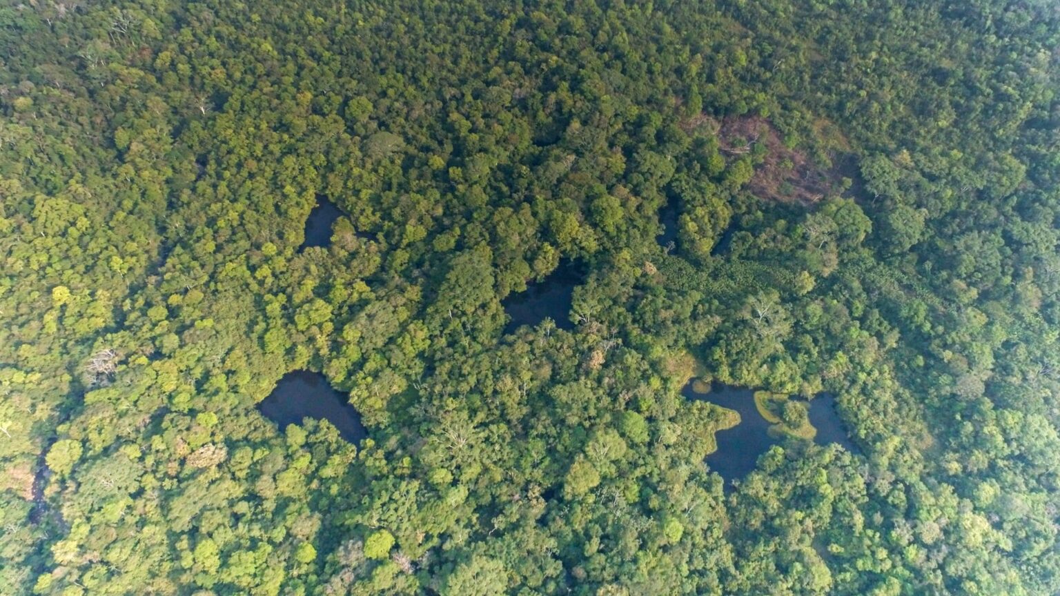 3 million acres protected in Ecuador