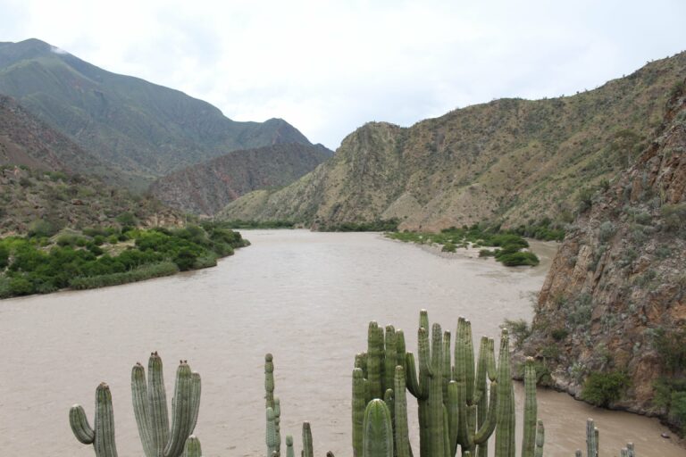 Andes Amazon Fund - Safeguarding the Most Diverse Landscapes on Earth
