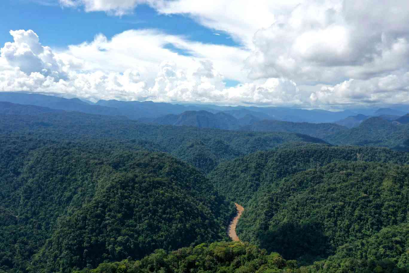 New Conservation Concession in Peru Protects Fragile Forests