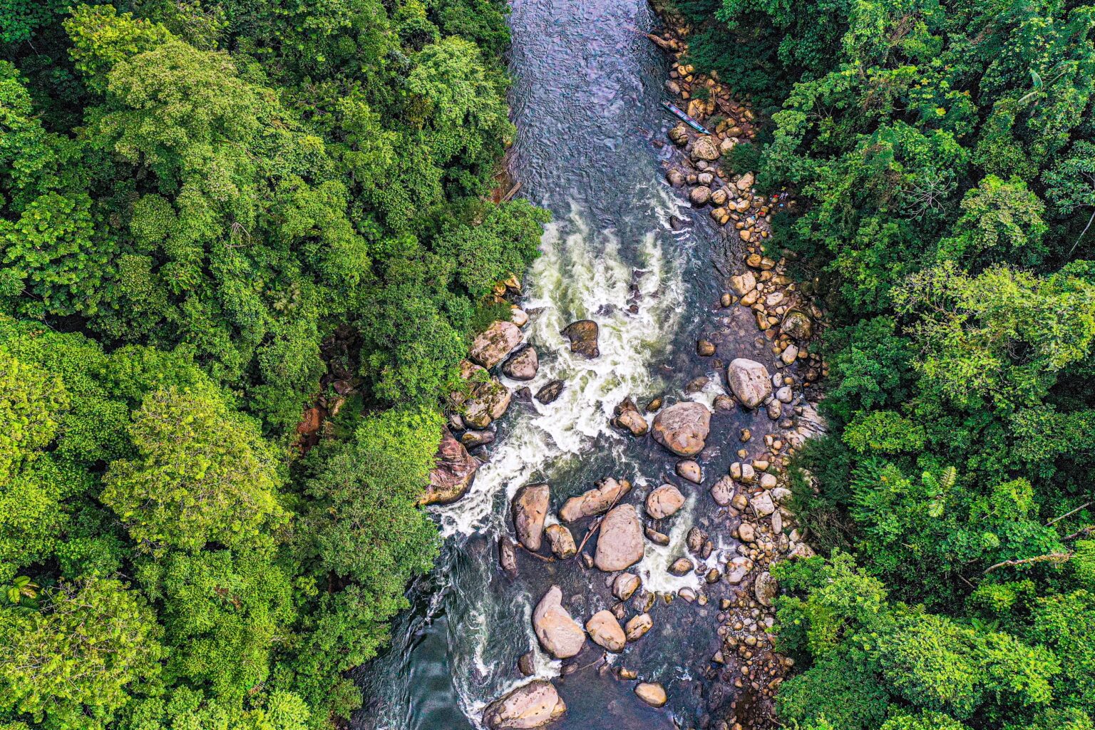 New Protected Area in Esmeraldas Protects Half a Million Acres