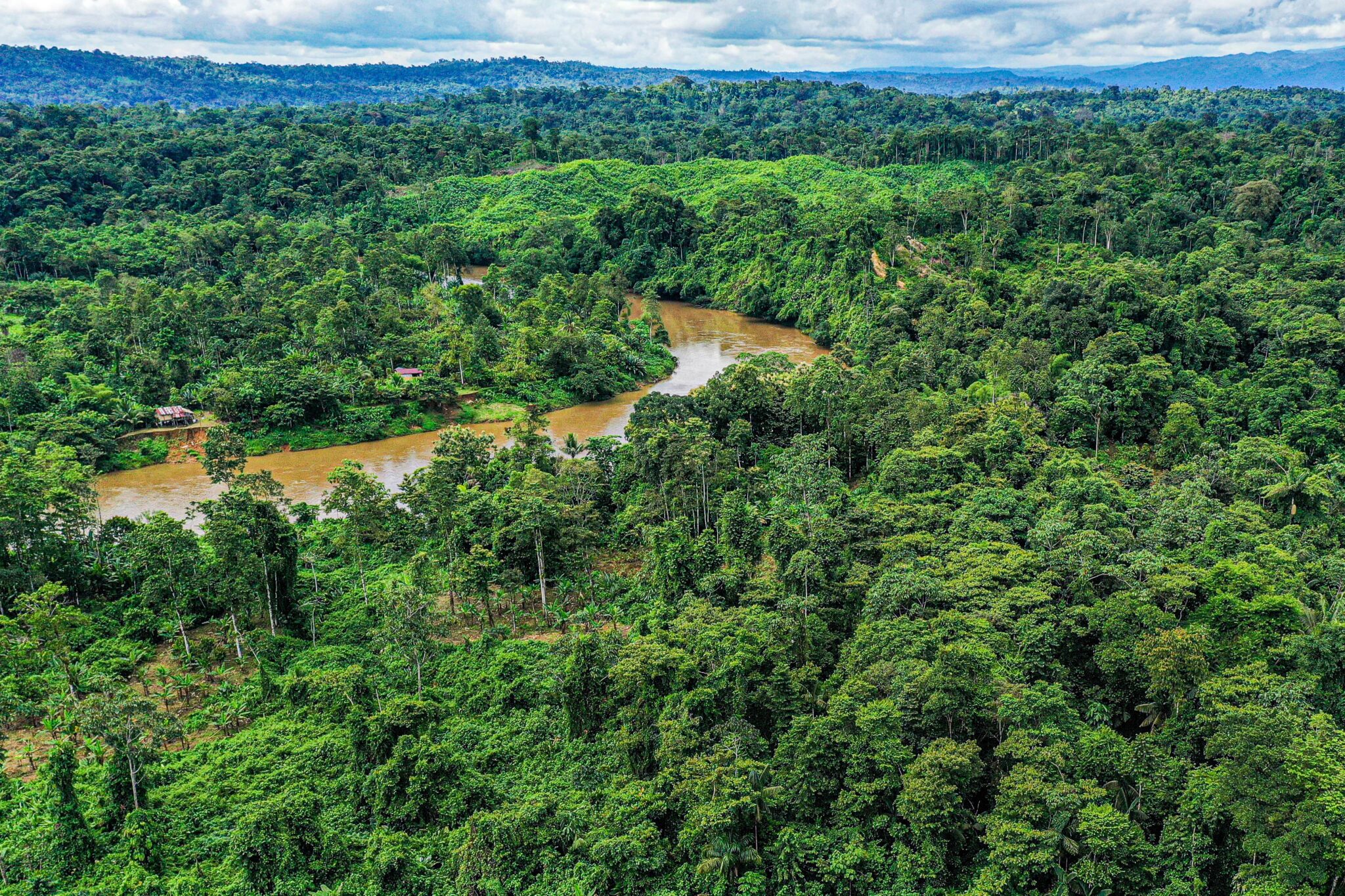 New Protected Area in Esmeraldas Protects Half a Million Acres