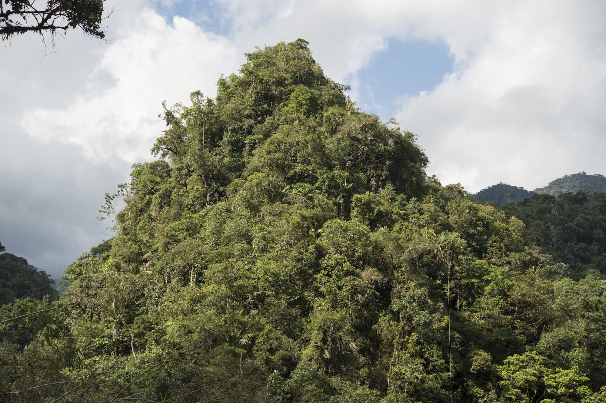 Sucúa Municipal Conservation Area Protects Ecuadorian Andes