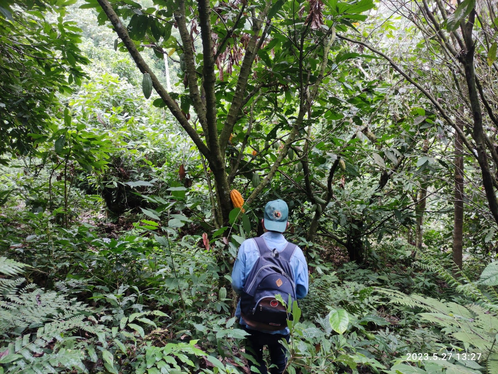 Dowara Kanda Tech Uyapï is a Victory for Indigenous Sovereignty