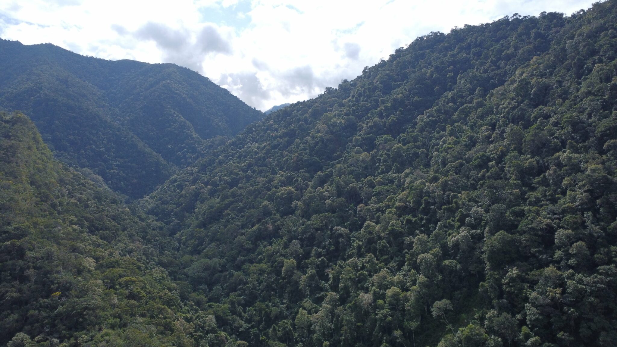 Dowara Kanda Tech Uyapï is a Victory for Indigenous Sovereignty