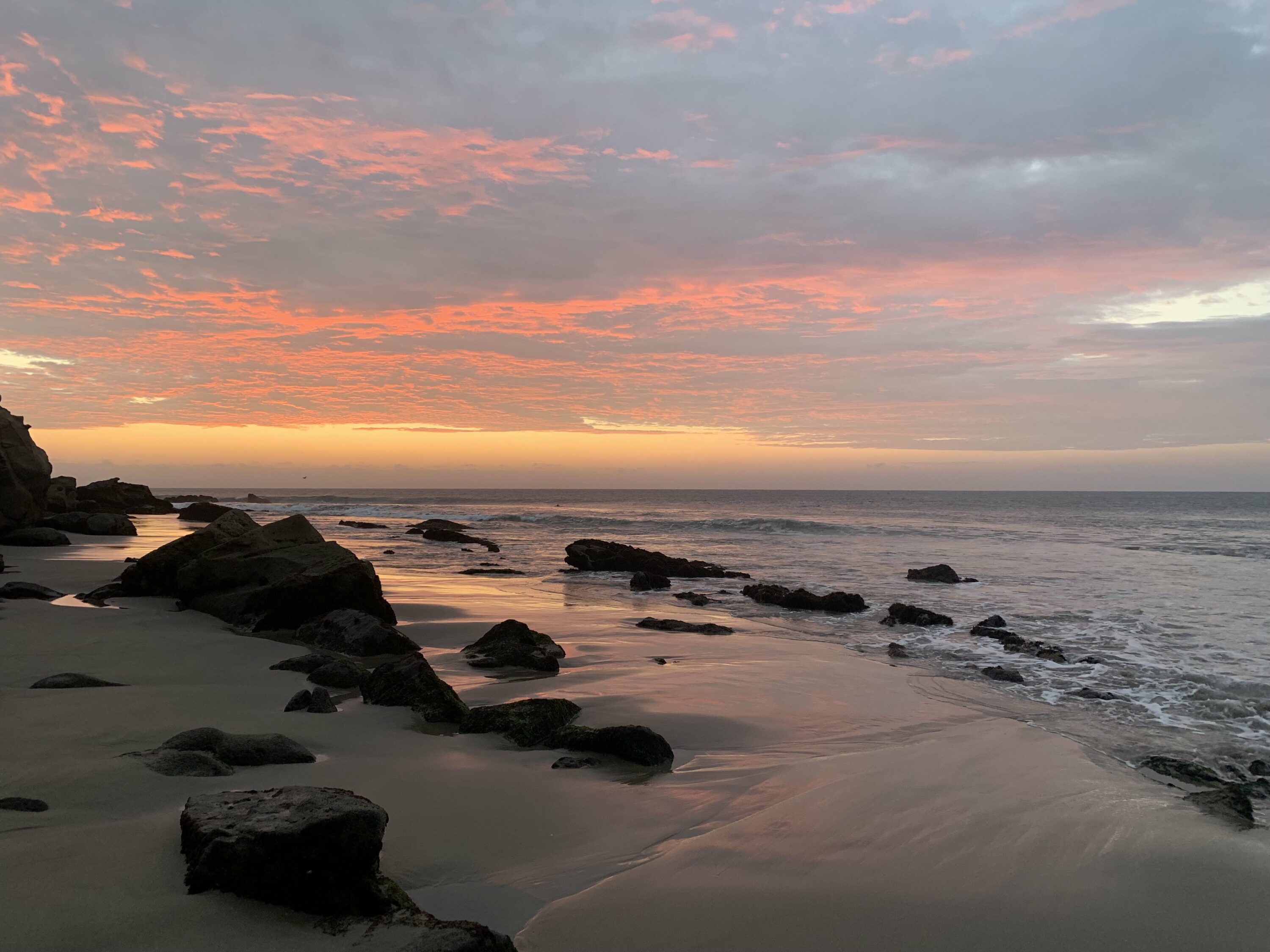 Peru Establishes Mar Tropical de Grau National Marine Reserve