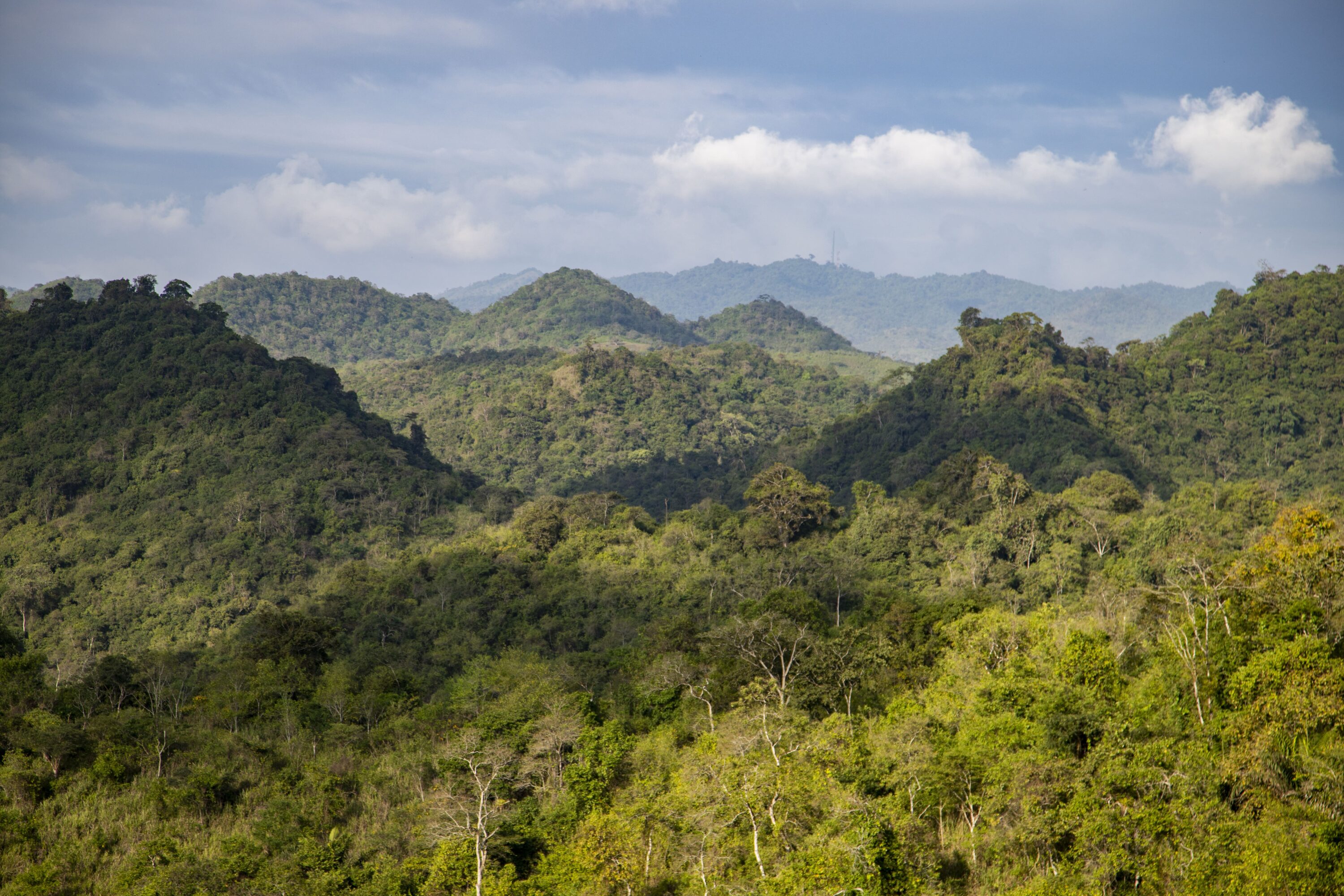 Five new municipal conservation areas spanning over half a million ...