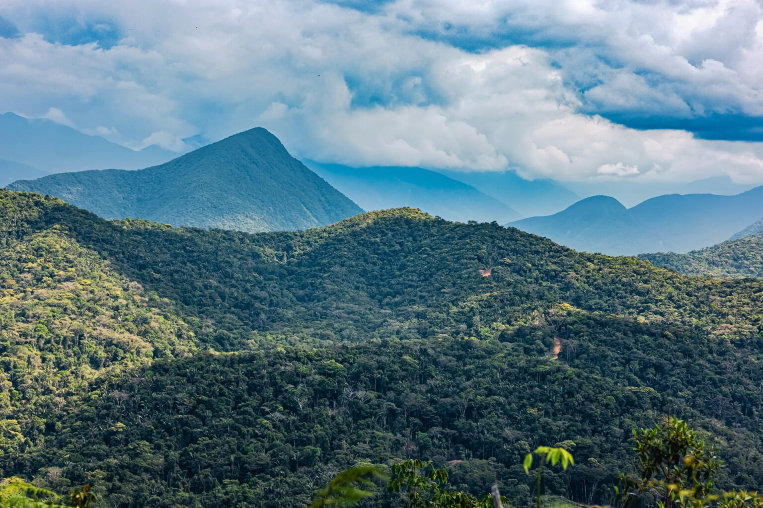 Andes Amazon Fund - Safeguarding the Most Diverse Landscapes on Earth